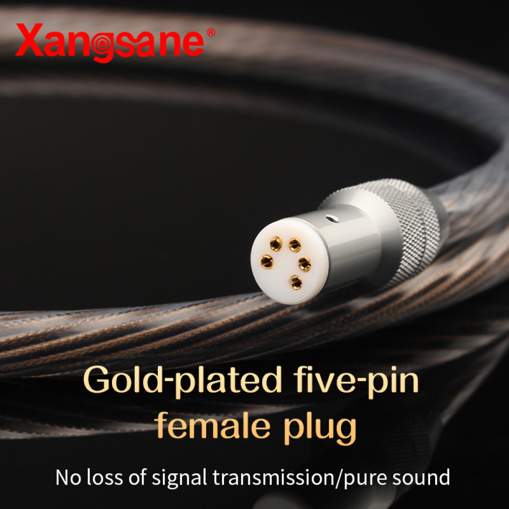 Xangsane 1M/1.5M/2M/3m LP vinyl record five-core female plug to tworca ...