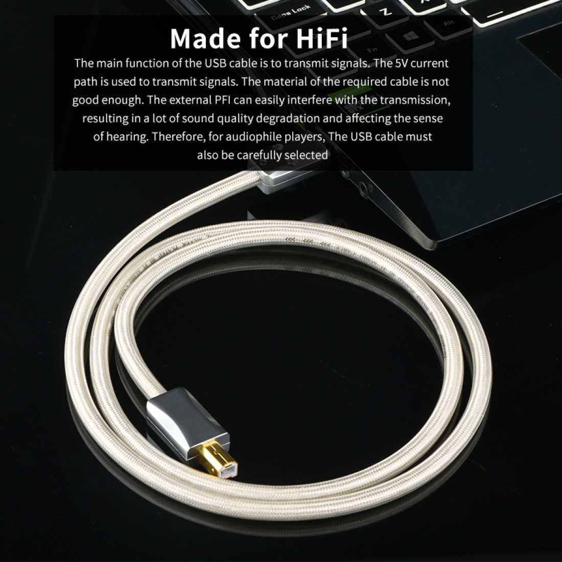 xangsane upgrade style OCC silver-plated USB A to B audio cable decoder ...